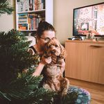 Mapping the Bones by Jane Yolen | Goodreads