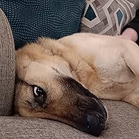 The Ruby Code by Jessica Khoury | Goodreads