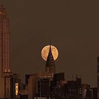 Stand Tall by Joan Bauer | Goodreads