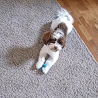 Annie, Between the States by L.M. Elliott | Goodreads