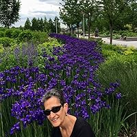 The Fool's Run (Kidd & LuEllen, #1) by John Camp | Goodreads