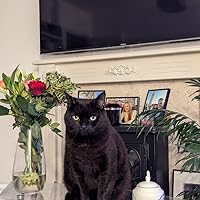 Dead Med by Freida McFadden | Goodreads