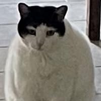 Away from Everywhere by Chad Pelley | Goodreads