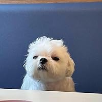 Paddington Bear and the Christmas Surprise by Michael Bond | Goodreads