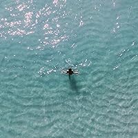 The Joy of Connections: 100 Ways to Beat Loneliness and Live a Happier ...