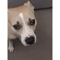 Missing by Lynette Eason | Goodreads