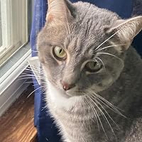 Soccer on Sunday (Magic Tree House, #52) by Mary Pope Osborne | Goodreads