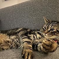 Smiles to Go by Jerry Spinelli | Goodreads