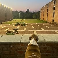 Lone Fox Dancing: My Autobiography by Ruskin Bond | Goodreads