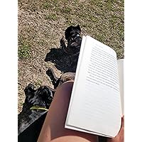 Shattered by His Alpha King (Reluctant Fae Princes #1) by Lilo Quie ...