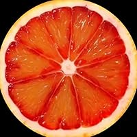 Yellow Woman and a Beauty of the Spirit by Leslie Marmon Silko | Goodreads