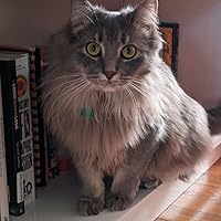 Brick Dust and Bones by M.R. Fournet | Goodreads