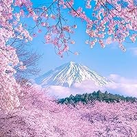 Edith's Story: The True Story of How One Young Girl Survived World War ...