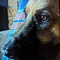 The Migraine Solution: A Complete Guide to Diagnosis, Treatment, and ...