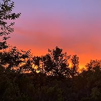 The Ark Files by Luke Richardson | Goodreads