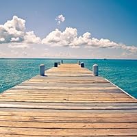 Westmark (Westmark, #1) by Lloyd Alexander | Goodreads