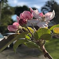 The Most Misused Verses in the Bible: Surprising Ways God's Word Is ...