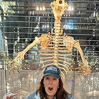 The Faculty Lounge by Jennifer Mathieu | Goodreads