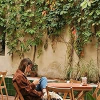 I Can Explain by Shinsuke Yoshitake | Goodreads