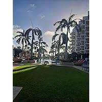 The Faculty Lounge by Jennifer Mathieu | Goodreads