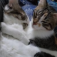 Indómita (Rubí de sangre #1) by Raisa Martin Espinosa | Goodreads