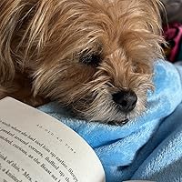 Smiles to Go by Jerry Spinelli | Goodreads