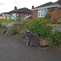 The Great Mouse Plot by Roald Dahl | Goodreads