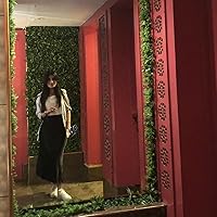 The Foiled Plan (War of Sins, #2) by Veronica Lancet | Goodreads