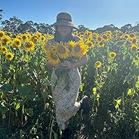 A Rival Most Vial: Potioneering for Love and Profit by R.K. Ashwick ...