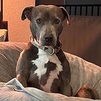 Unfaithful Angels: How Social Work Has Abandoned its Mission by Harry ...