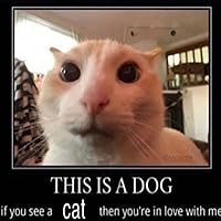 Graffiti Hack by Elen Ghulam | Goodreads