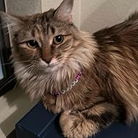 Calling All Creeps! (Goosebumps, #50) by R.L. Stine | Goodreads