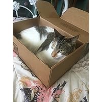 The Unexplainable Disappearance of Mars Patel by Sheela Chari | Goodreads