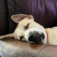 The Monster's Ring by Bruce Coville | Goodreads