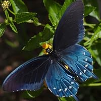 The Frindle Files by Andrew Clements | Goodreads