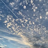 Nedjma by Kateb Yacine | Goodreads