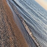 Crabbe by William Bell | Goodreads