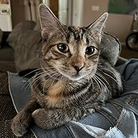 Calling All Creeps! (Goosebumps, #50) by R.L. Stine | Goodreads