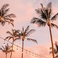 No Summit out of Sight: The True Story of the Youngest Person to Climb ...