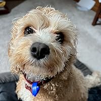 We Are Wolves by Katrina Nannestad | Goodreads