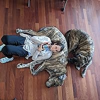 The Untelling by Tayari Jones | Goodreads