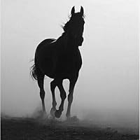 Unprotected: A Campus Psychiatrist Reveals How Political Correctness in ...