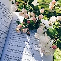 Good-bye Stacey, Good-bye: A Graphic Novel by Gabriela Epstein | Goodreads