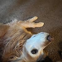 High Score by Destiny Howell | Goodreads