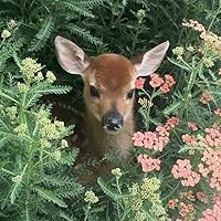 She's Always Hungry by Eliza Clark | Goodreads