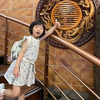 The Diary of Amos Lee 1: I Sit, I Write, I Flush! by Adeline Foo ...