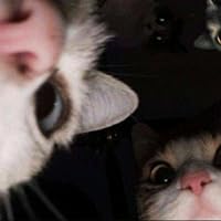 Megahex (Megg, Mogg and Owl) by Simon Hanselmann | Goodreads