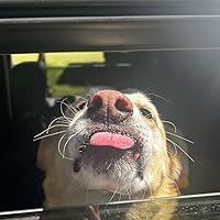 The Beautiful People by Michelle Gable | Goodreads