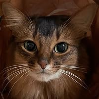 Distance (Beneath the Mask, #1) by Luna Mason | Goodreads