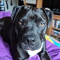 Soul Fraud (Debt Collection #1) by Andrew Givler | Goodreads